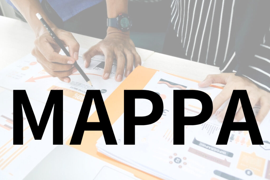 MAPPAの採用を解説！新卒のインターンはない | プレイ